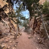 Fowler Trail, Colorado - 1,858 Reviews, Map | AllTrails