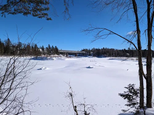 Best Beach Trails in Shannon | AllTrails