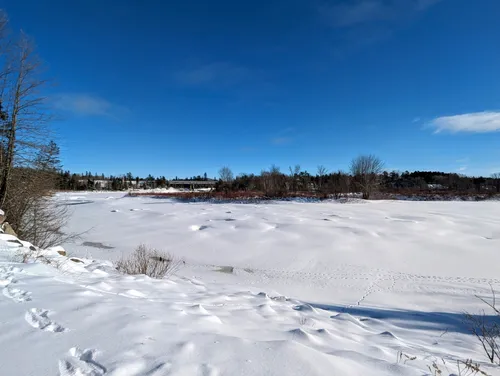 Best River Trails in Shannon | AllTrails