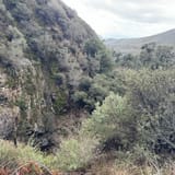 Etiwanda Falls Trail, California - 5,474 Reviews, Map | AllTrails