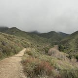 Etiwanda Falls Trail, California - 5,474 Reviews, Map | AllTrails