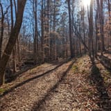 Sycamore Trail Loop, North Carolina - 1,474 Reviews, Map | AllTrails