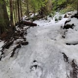 Heather Lake Trail, Washington - 5,593 Reviews, Map | AllTrails