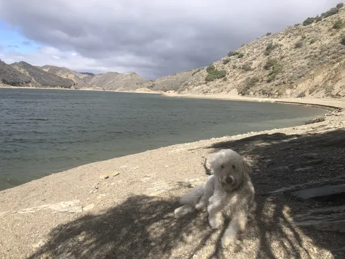 Best Hikes and Trails in Pyramid Lake Recreation Area | AllTrails