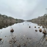 Hinson Lake, North Carolina - 72 Reviews, Map | AllTrails