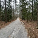 Hinson Lake, North Carolina - 72 Reviews, Map | AllTrails