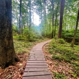 Hinson Lake, North Carolina - 72 Reviews, Map | AllTrails