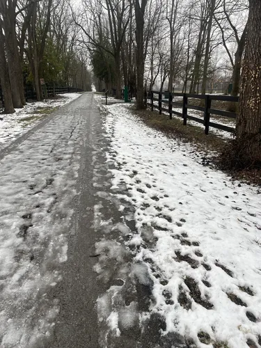 Best Hikes and Trails in Cardinal Run Park South | AllTrails