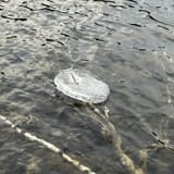 Jordan Pond Path, Maine - 6,250 Reviews, Map | AllTrails