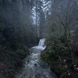 Hidden Falls Nature Park Trail, Oregon - 541 Reviews, Map | AllTrails