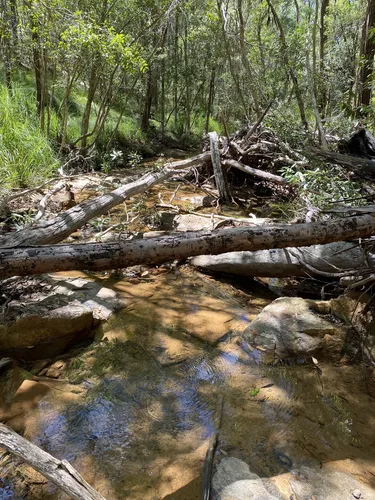 Best Hikes and Trails in Bago Bluff National Park | AllTrails