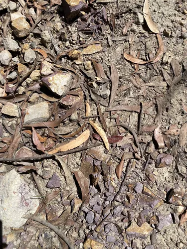 Best Hikes and Trails in Bago Bluff National Park | AllTrails