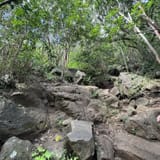 Waimano Falls Trail, Oahu, Hawaii - 4,669 Reviews, Map | AllTrails