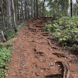 Waimano Falls Trail, Oahu, Hawaii - 4,669 Reviews, Map | AllTrails