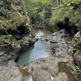 Waimano Falls Trail, Oahu, Hawaii - 4,669 Reviews, Map | AllTrails