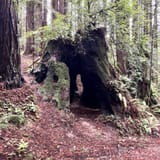 Rohner Park Loop, California - 217 Reviews, Map | AllTrails