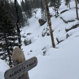 Alberta Falls Trail, Colorado - 3,306 Reviews, Map | AllTrails