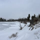 Sprague Lake Loop, Colorado - 2,615 Reviews, Map | AllTrails