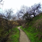 Puddingstone Reservoir Lake View and Park Trail Loop, California - 610 ...