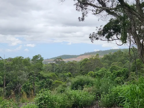 Best Hikes and Trails in Keperra Bushland Reserve | AllTrails