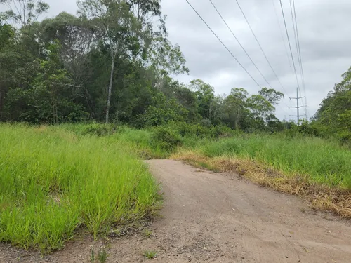 Best Hikes and Trails in Keperra Bushland Reserve | AllTrails