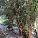 Oloolua Nature Trail, Rift Valley, Kenya - 29 Reviews, Map | AllTrails