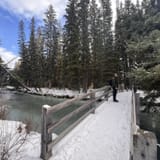 Fenland Trail, Alberta, Canada - 778 Reviews, Map | AllTrails
