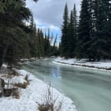 Fenland Trail, Alberta, Canada - 778 Reviews, Map | AllTrails