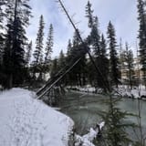 Fenland Trail, Alberta, Canada - 778 Reviews, Map | AllTrails