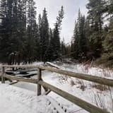 Fenland Trail, Alberta, Canada - 778 Reviews, Map | AllTrails