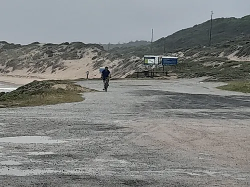 Best Views Trails in Buffelsbaai | AllTrails