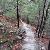 Thousand Steps, Pennsylvania - 1,272 Reviews, Map | AllTrails