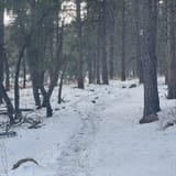 Doudy Draw and Spring Brook Loop Trail, Colorado - 957 Reviews, Map ...