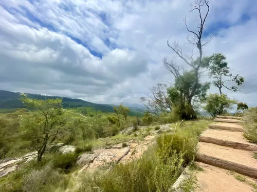 Best Hikes and Trails in Evans Crown Nature Reserve | AllTrails