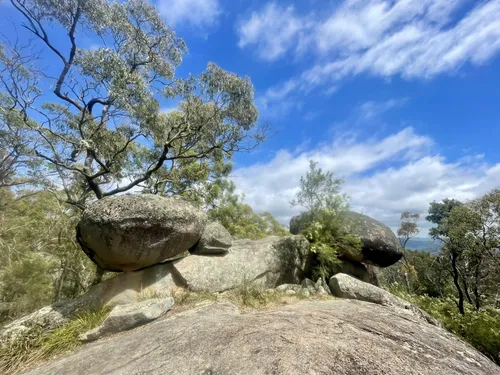 Best Hikes and Trails in Evans Crown Nature Reserve | AllTrails