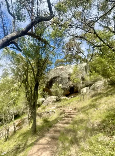 Best Hikes and Trails in Evans Crown Nature Reserve | AllTrails