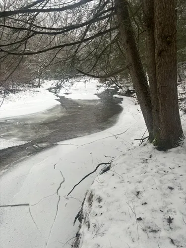 Best Hikes and Trails in Upper Bantam River Preserve | AllTrails