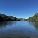 Bon Tempe Lake Loop, California - 1,845 Reviews, Map | AllTrails