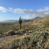 Black Rock Loop Trail, Arizona - 678 Reviews, Map | AllTrails