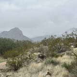 Black Rock Loop Trail, Arizona - 678 Reviews, Map | AllTrails
