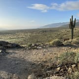 Black Rock Loop Trail, Arizona - 678 Reviews, Map | AllTrails