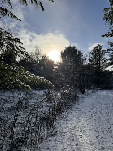 Best Kid Friendly Trails in Copeland Forest | AllTrails