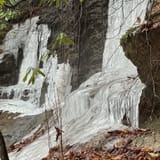 Hard Times Loop, North Carolina - 1,551 Reviews, Map | AllTrails