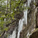 Hard Times Loop, North Carolina - 1,551 Reviews, Map | AllTrails