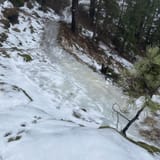 Tubbs Hill, Idaho - 3,854 Reviews, Map | AllTrails