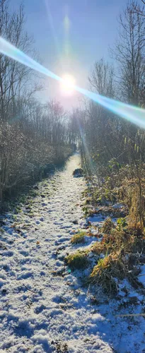 Best Hikes and Trails in Spud Wood | AllTrails