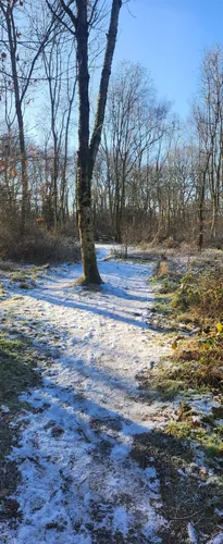 Best Hikes and Trails in Spud Wood | AllTrails