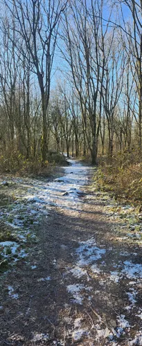 Best Hikes and Trails in Spud Wood | AllTrails