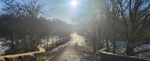 Best Hikes and Trails in Spud Wood | AllTrails