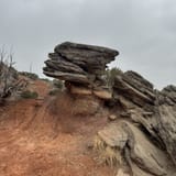 Rock Garden Trail, Texas - 1,023 Reviews, Map | AllTrails